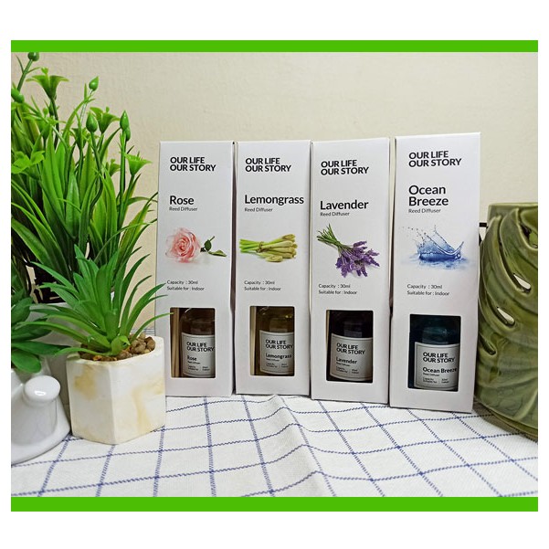 REED DIFFUSER SSF/ Aromatherapy/Scented Decoration (READY STOCK ...