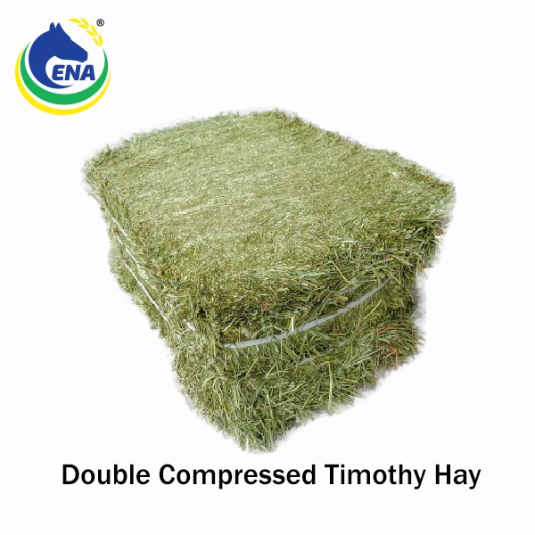 ENA Timothy Hay double compressed 30kg | Shopee Malaysia