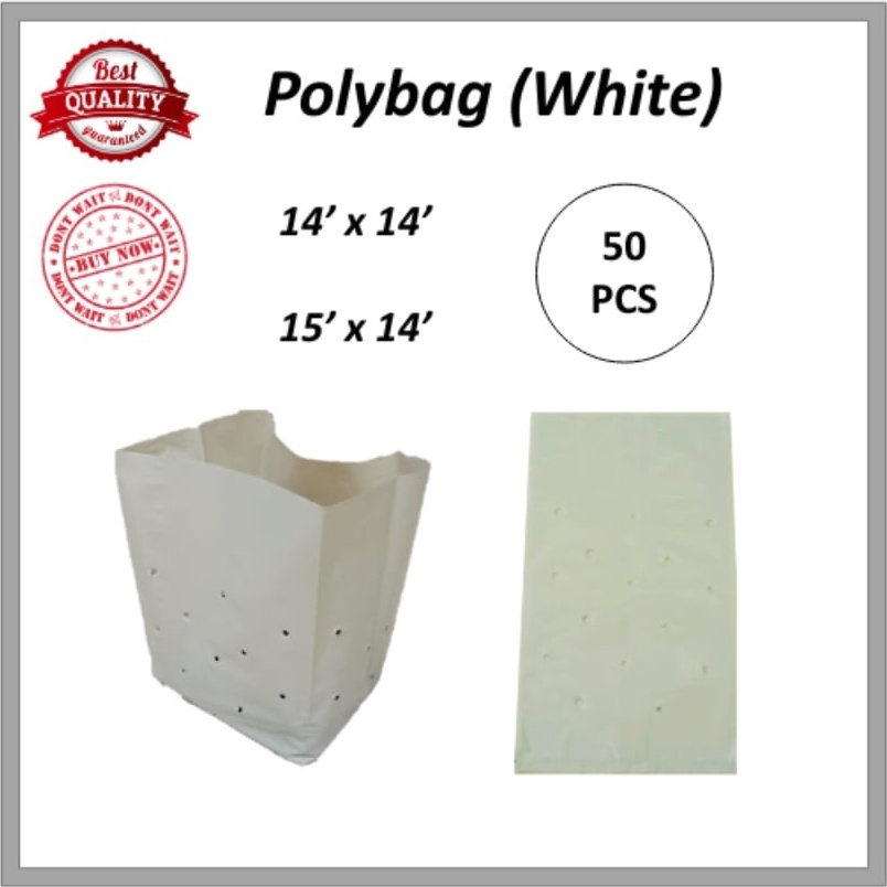 50 PCS White Polybag Fertigasi Polibag Putih (Nursery Growing) | Shopee ...