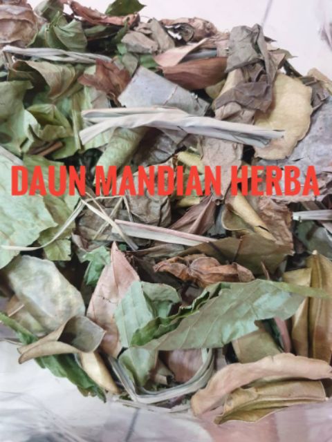 Daun mandian herba | BeeCost