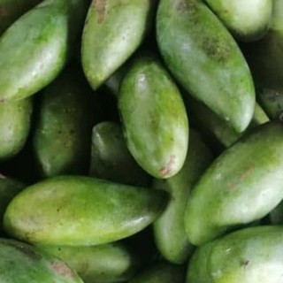 BUAH PAUH @ MANGGA MASAK @ PUTIK | MANGGA MANIS - RANDOM BUAH MANGGA ...