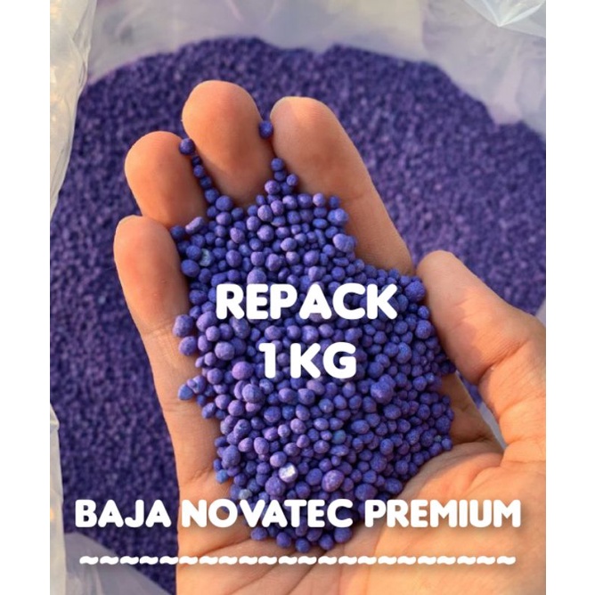 Baja Novatec Premium Baja bunga Baja Buah | Shopee Malaysia