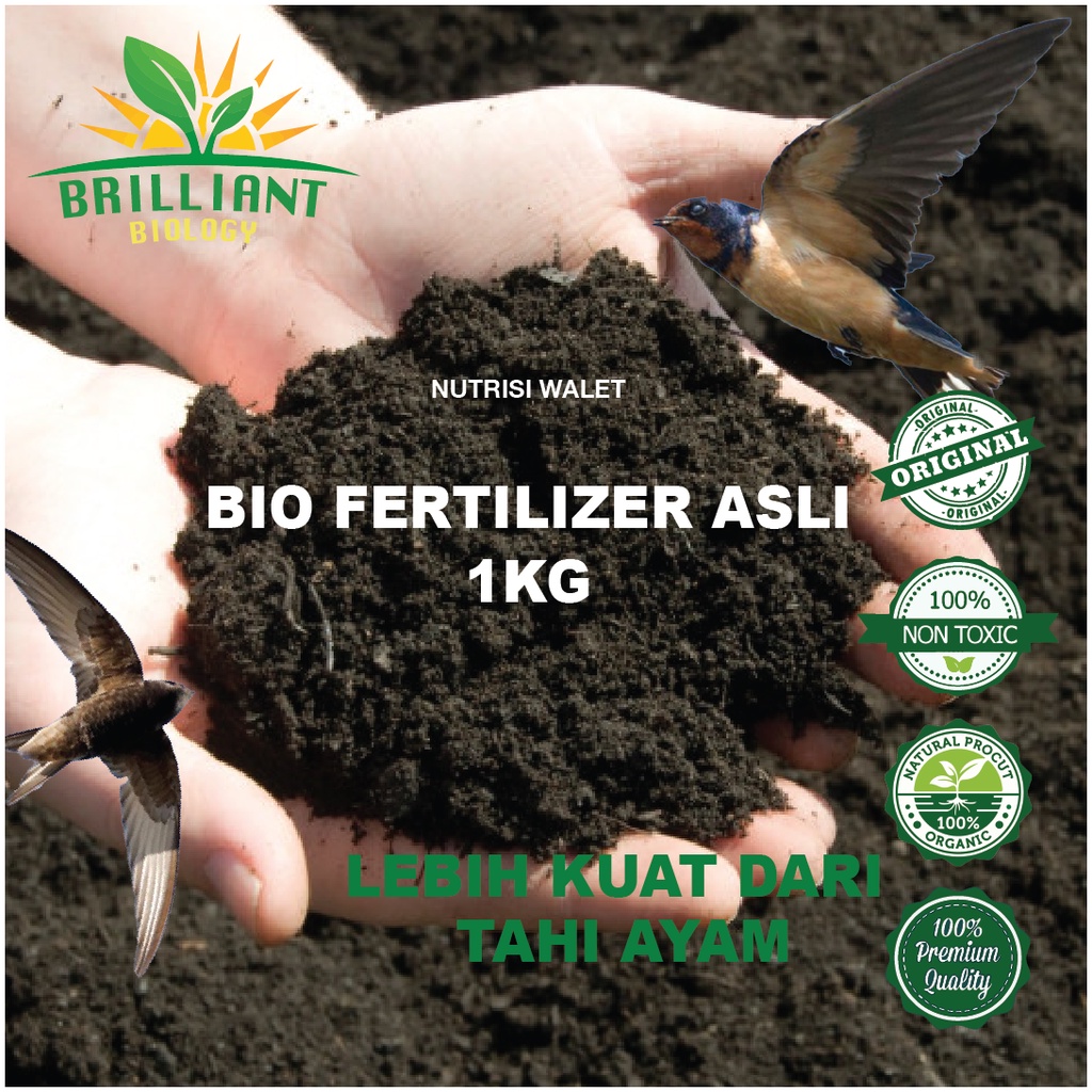 PREMIUM BUY 6 FREE 1 BAJA ORGANIK (TAHI BURUNG WALIT) PROSES RUMUSAN ...