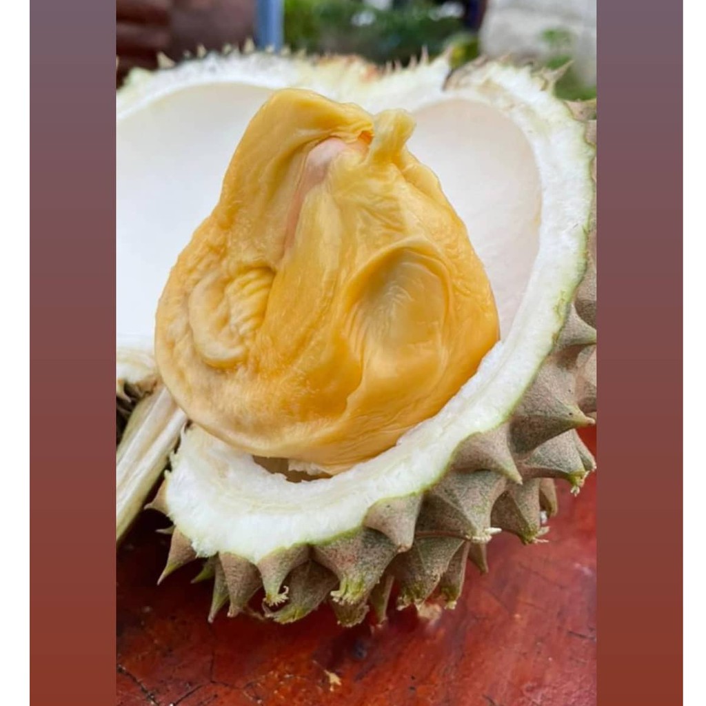 [FRESH DURIAN PULP] Top Quality Durian Karak 100% Original | Shopee ...