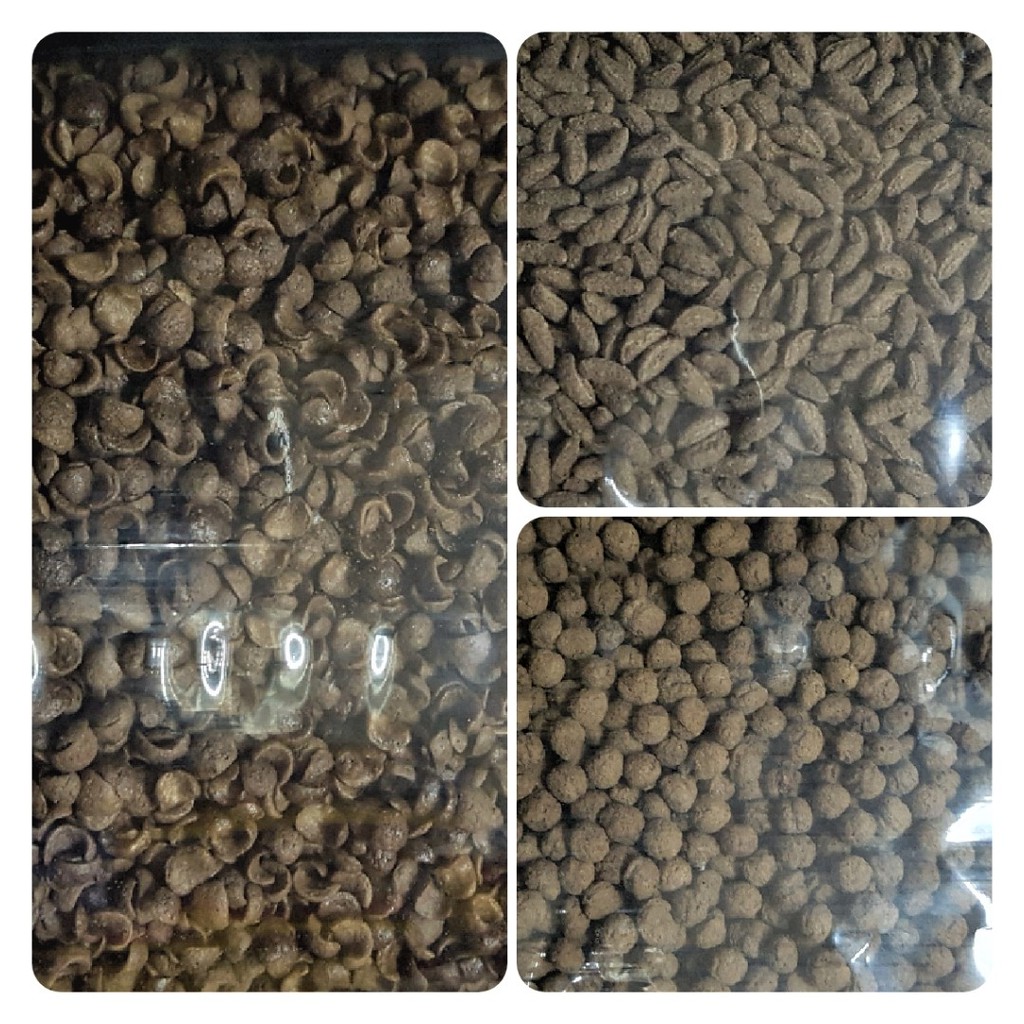 Viral Mini koko crunch/choco bubble rice/ choco ball 450g | Shopee Malaysia