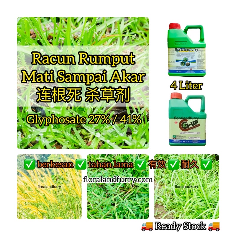 Racun Rumput Rumpai Lalang Mati Akar 4L Weed Killer Glyphosate 27 41 ...