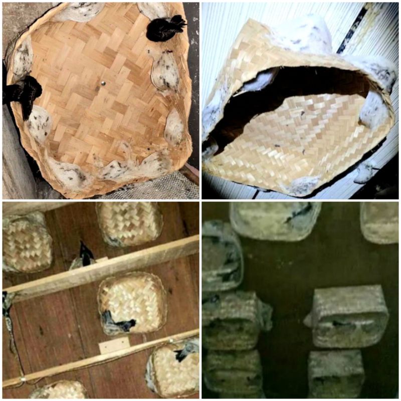 (10pc) Ready stock Besek Rumah Burung Walet Walit indonesia Bakul Besek ...