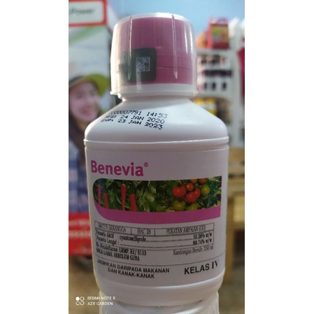 Benevia 250 ML Cyantraniliprole 10.26% Kutu Thrip White Fly & Ulat ...