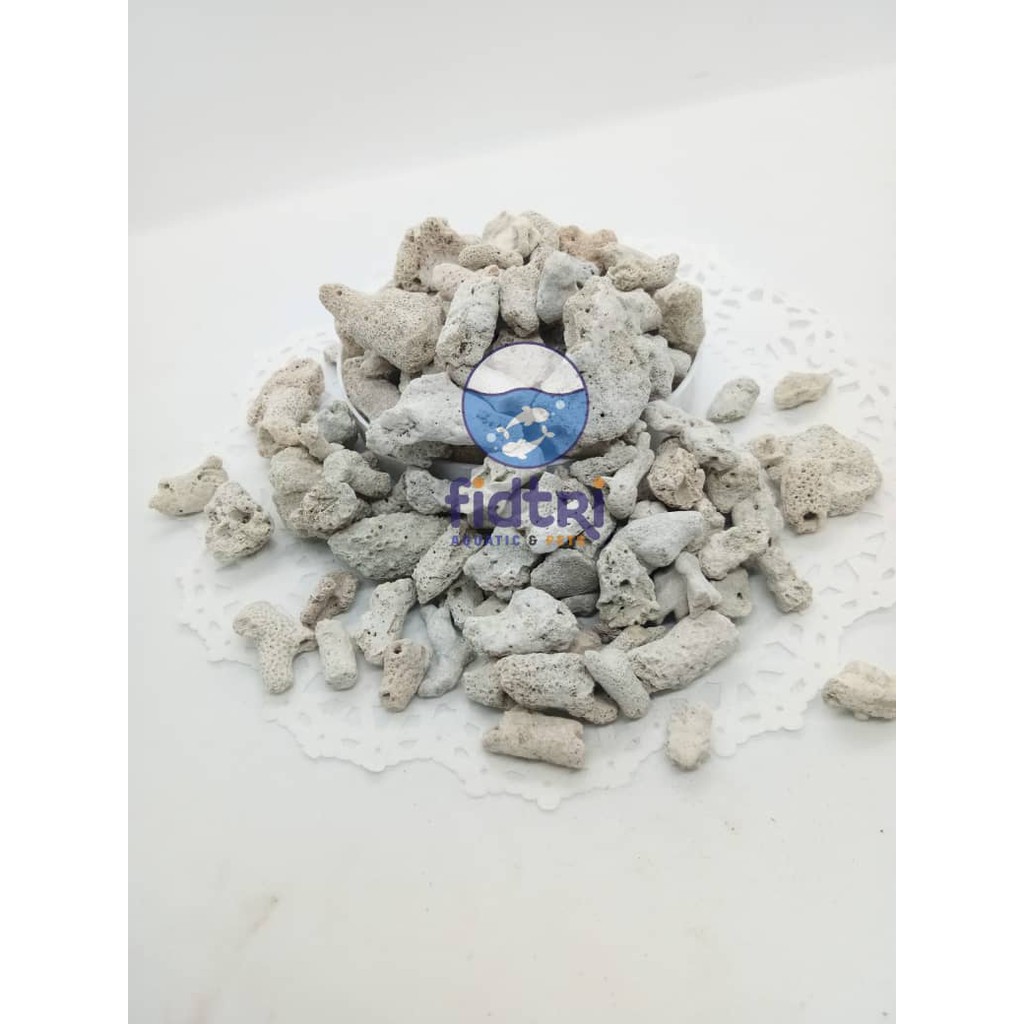 AQUARIUM CORAL STONE FILTER MEDIA BATU KARANG AKUARIUM TANK 500GRAM ...