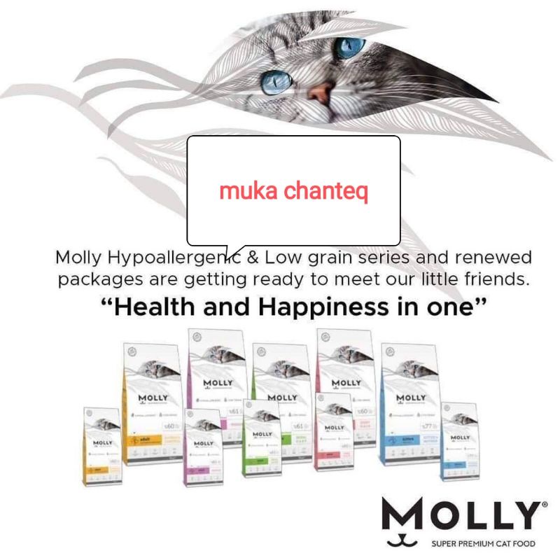 MOLLY Cat Food 15KG (Chicken & Anchovy, Shrimp & Salmon, Kitten ...