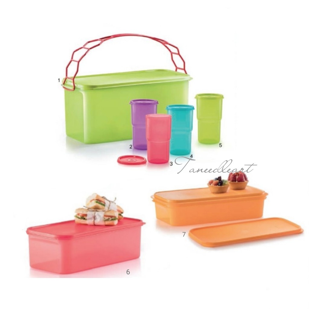 ORIGINAL Tupperware Large Carry All Party Outdoor Full Level Set Ready ...