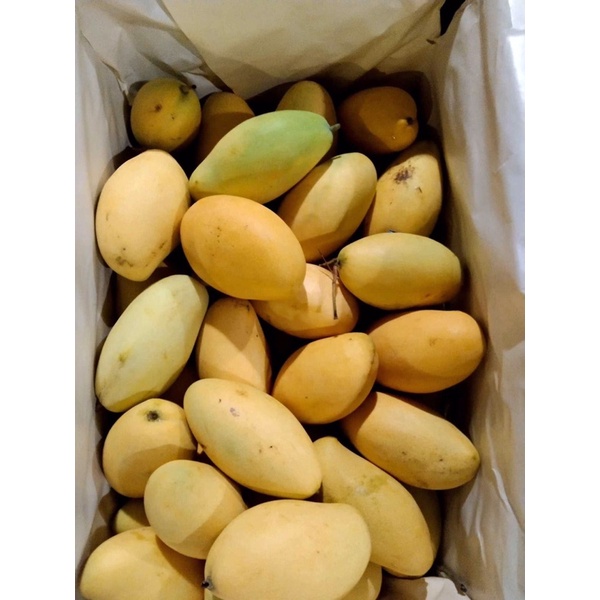 MANGGA/PAUH LEMAK 3 RASA MASAK | Shopee Malaysia