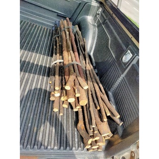 KAYU TAS ASLI SEMENANJUNG/KAYU HUJAN PANAS/KAYU LIMPANAS | Shopee Malaysia