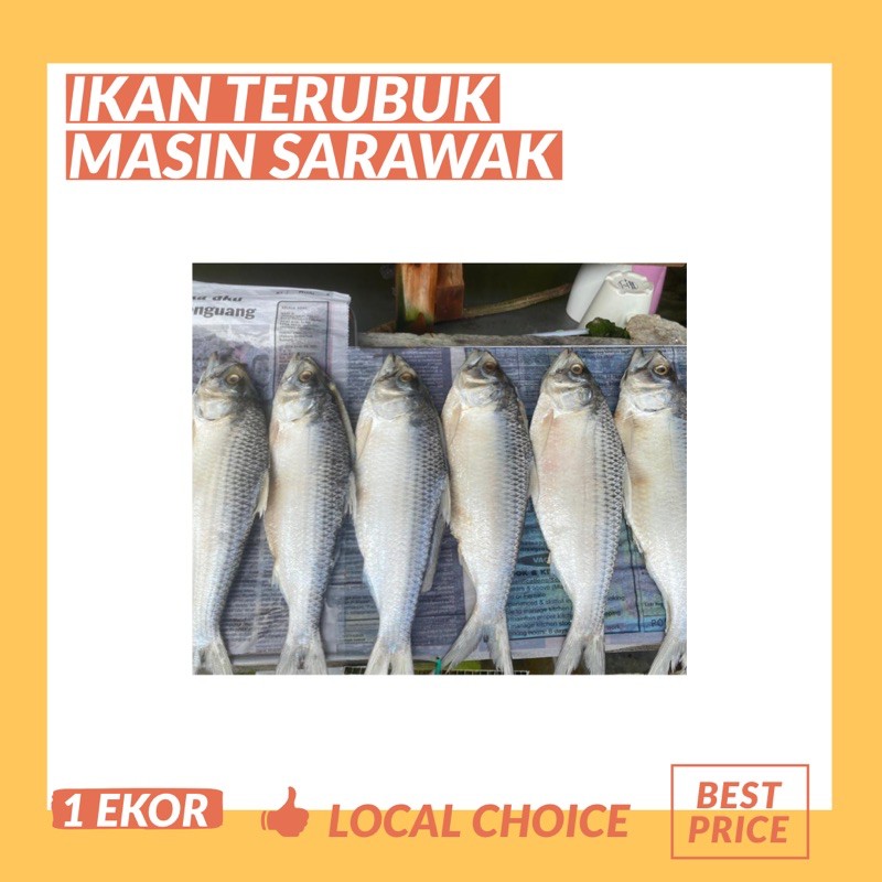 Ikan Terubuk Masin 100% Original Sarawak (Terubok) | Shopee Malaysia