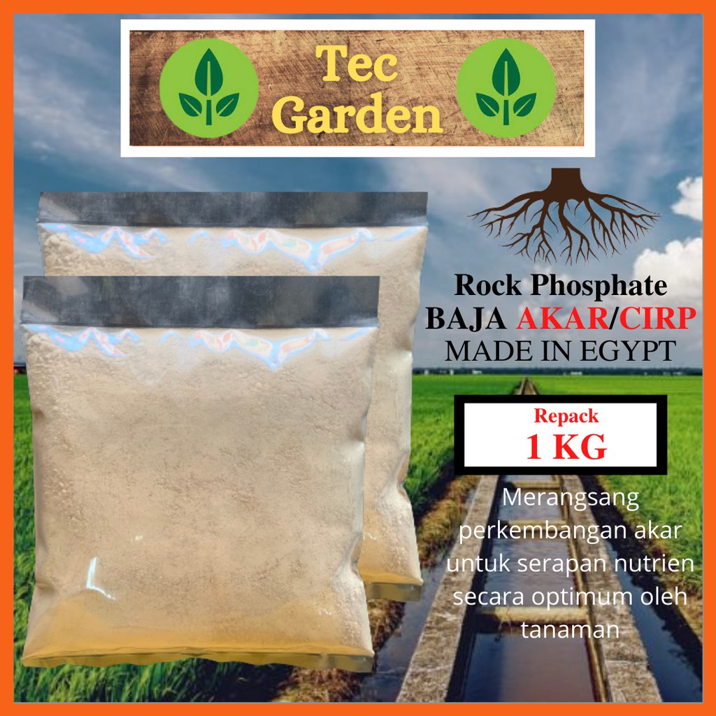 (Premium Imported) 1kg Repack Baja Penggalak Akar CIRP/ERP Egyptian ...
