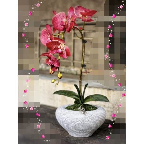 Ceramic Vase Bowl Flower Pot Pasu Bunga Hiasan Murah Pasu Seramik Leper ...
