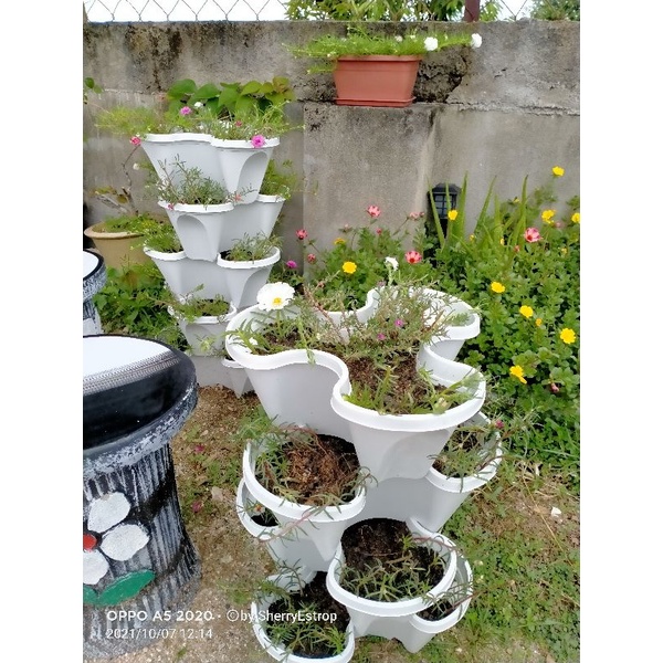 PASU BERTINGKAT / PASU TIGA SEGI/ STACKING FLOWER POT | Shopee Malaysia