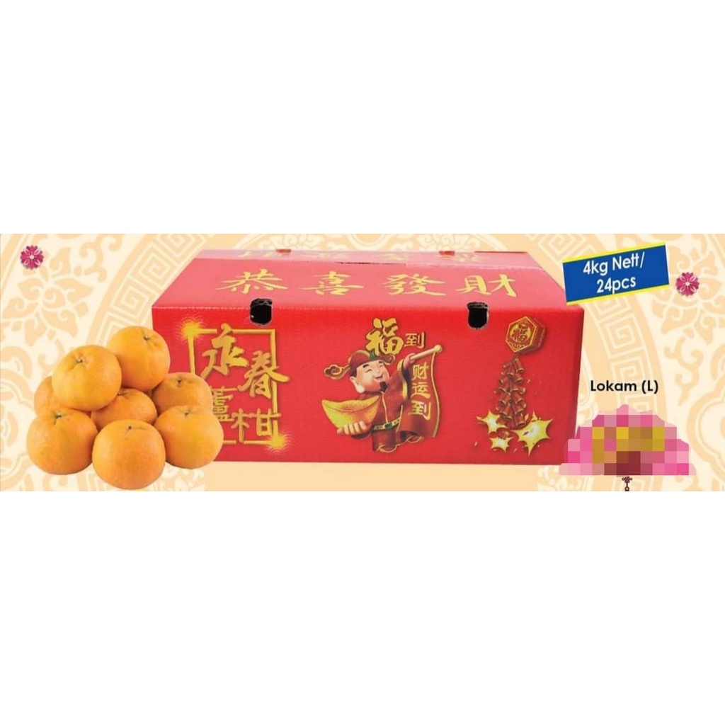 CNY Lokam Yong Chun Limau Mandarin Orange (S / M / L / XL size) +4kg ...