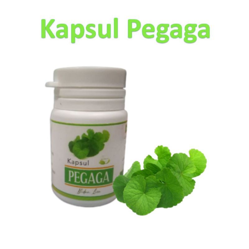 KAPSUL PEGAGA BIDAN LIZA 30BIJI I JAMU PANTANG | Shopee Malaysia