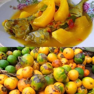 TERUNG ASAM DAYAK @ SARAWAK LOCAL 1kg | Shopee Malaysia