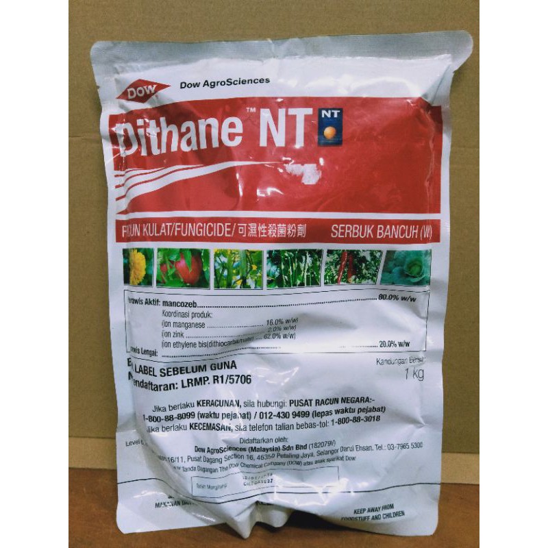 DITHANE NT 1KG RACUN KULAT FUNGICIDE | Shopee Malaysia