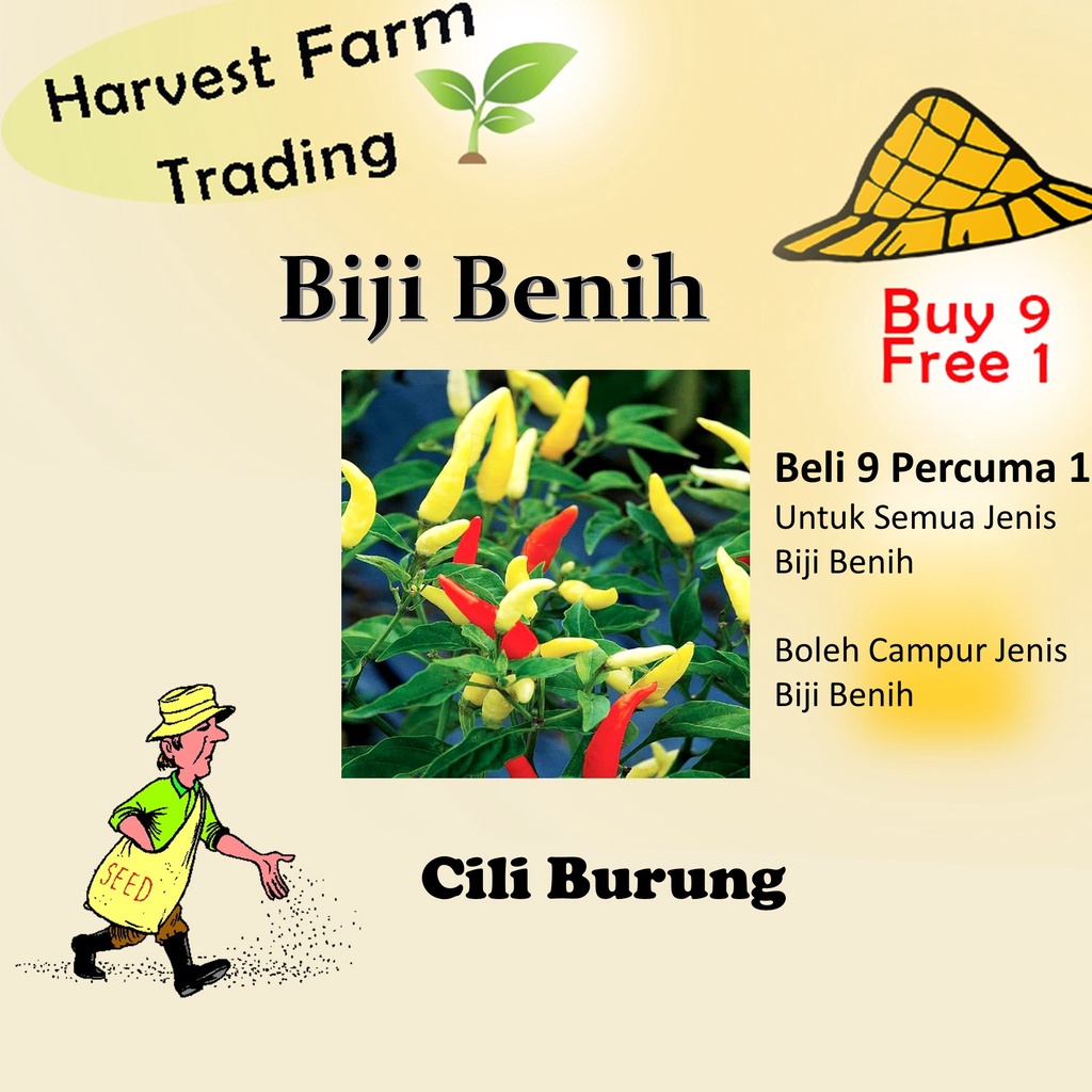 15pcs seeds LADA BURUNG CILI API BARA CILI PADI / CILI KAMPUNG biji ...