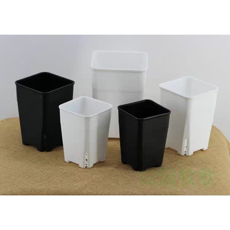 7cm Japanese Pots (S size) / Pots for Succulents / Cactus Pots ...