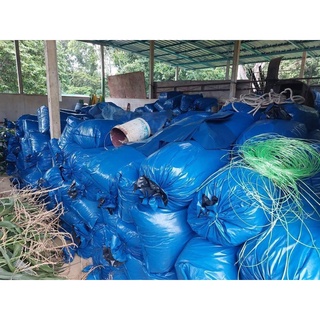 Plastik Silaj Napier / Bag Silaj Napier 25kg 200-/+pcs | Shopee Malaysia