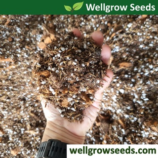 Wellgrow Seeds Official Store, Online Shop | Shopee Malaysia