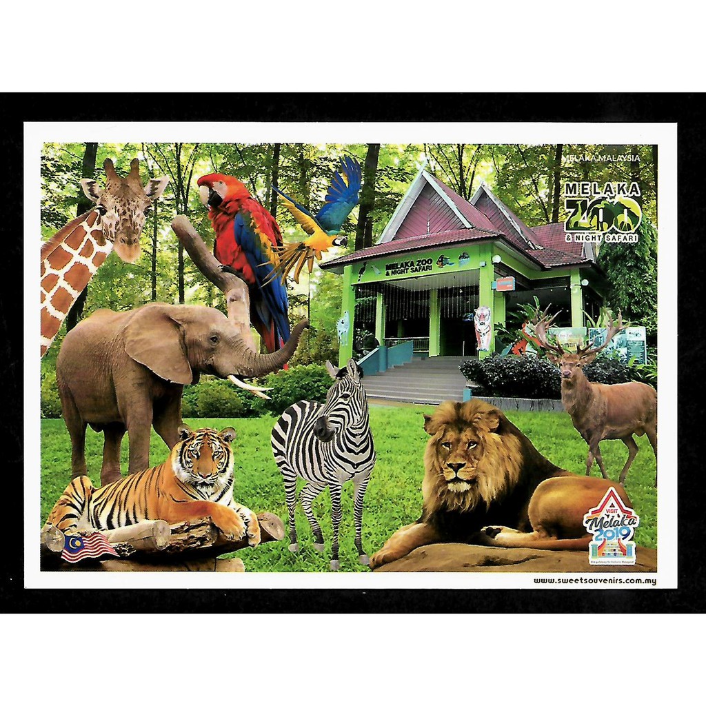 Malaysia Postcard - Malacca Zoo & Night Safari | Shopee Malaysia