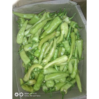 500G LADA HIJAU BESAR FRESH | Shopee Malaysia