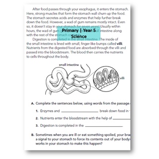 2🅿 KS1 & 2 Primary Science | Worksheets With Answer |Year 1 Year 2 ...