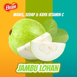 Jambu Lohan / Guava Terbaik Dari Ladang Selangor Fruit Valley, Rawang ...