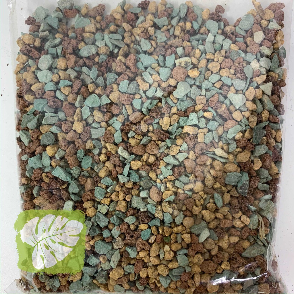 Succulent Pebble Mix Colourful Anti Rotting IOB | Lazada