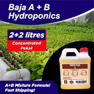 Baja AB 4 litres (Hydroponics Booster/Fertilizer) (2 litres A + 2 ...