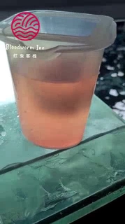 Frozen Bloodworm Cube 5 Pack/10Pack/25Pack Cacing Beku Pack 100g Per ...