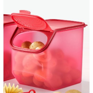 tupperware garlic keeper 5.5L (1pc) | Shopee Malaysia