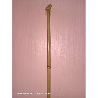 73cm / ROTAN / RATTAN / ROTAN KANAK KANAK / ROTAN BUDAK / STICK RATTAN ...