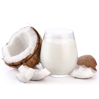 CLS Santan Saji Susu Kelapa Dalam Kotak Coconut Milk Per Carton 24 x ...