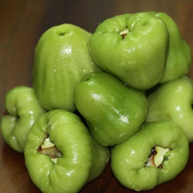 Jambu Thai green [anak pokok] | Shopee Malaysia