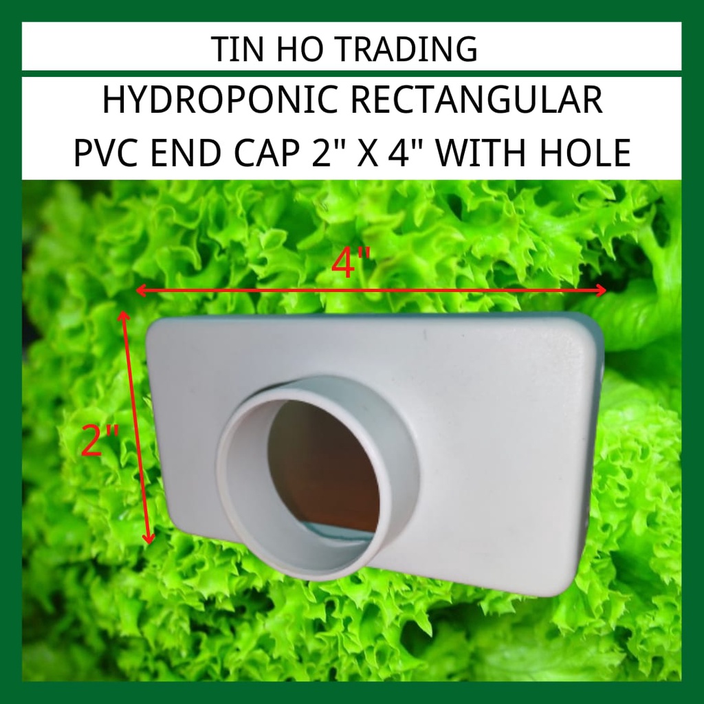 HYDROPONIC RECTANGULAR PVC END CAP 2" X 4" WITH HOLE (5 PCS) | Shopee ...