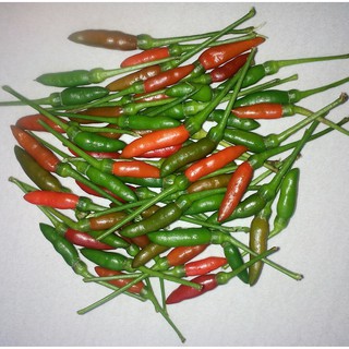 Cili Api Kampung Organik Segar (100 Gram) | Shopee Malaysia