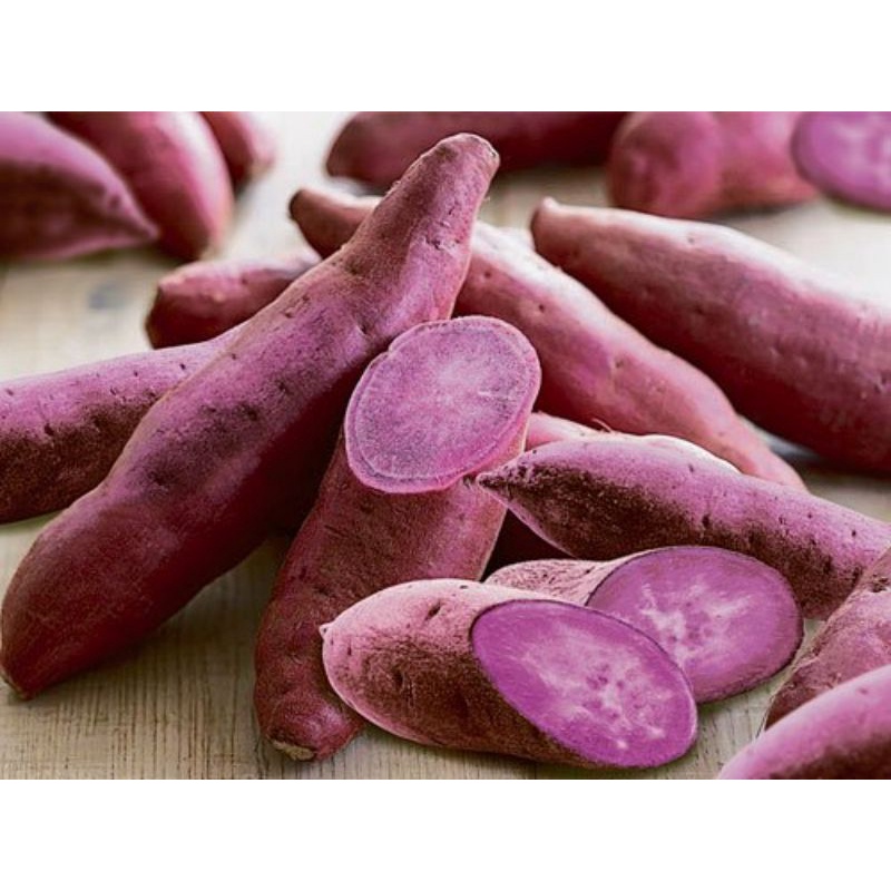 Ubi honey Cameron Highlands 2~3kg | Shopee Malaysia