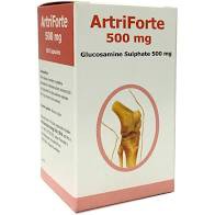 AVM-ARTRISA 500MG (ArtriForte) Glucosamine Sulphate 500mg (60S ...