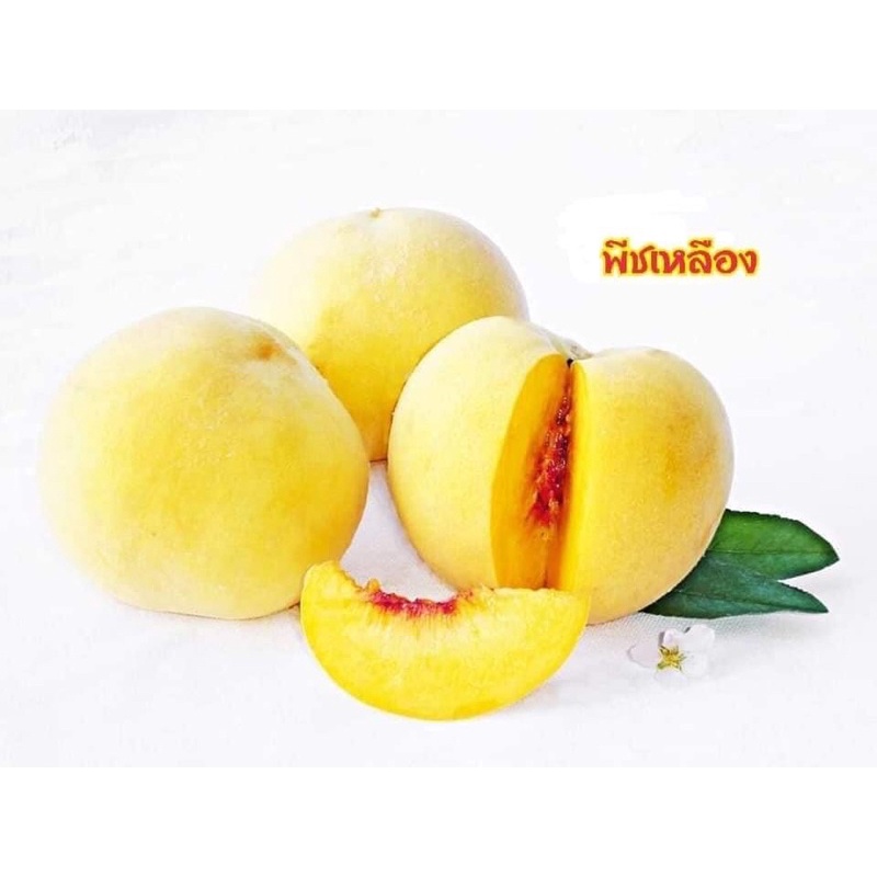Pokok Buah Peach Yellow Peach real plant hotselling rare outdoor indoor ...