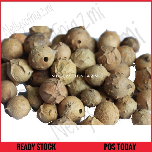 Biji / Buah Manjakani Asli Tradisional Original | Shopee Malaysia