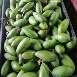 BUAH PAUH/ MANGGA LEMAK MANIS MURAH 1kg/ BUAH MEMPELAM | Shopee Malaysia