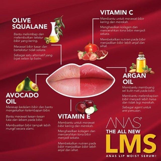 ANAS VELVET LIPTINT | LIPSERUM | Shopee Malaysia