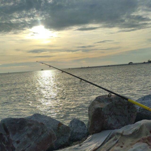 Perambut pancing ( IKAN PARI ) | Shopee Malaysia