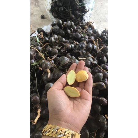 BUAH JERING FRESH / ULAM JERING | Shopee Malaysia